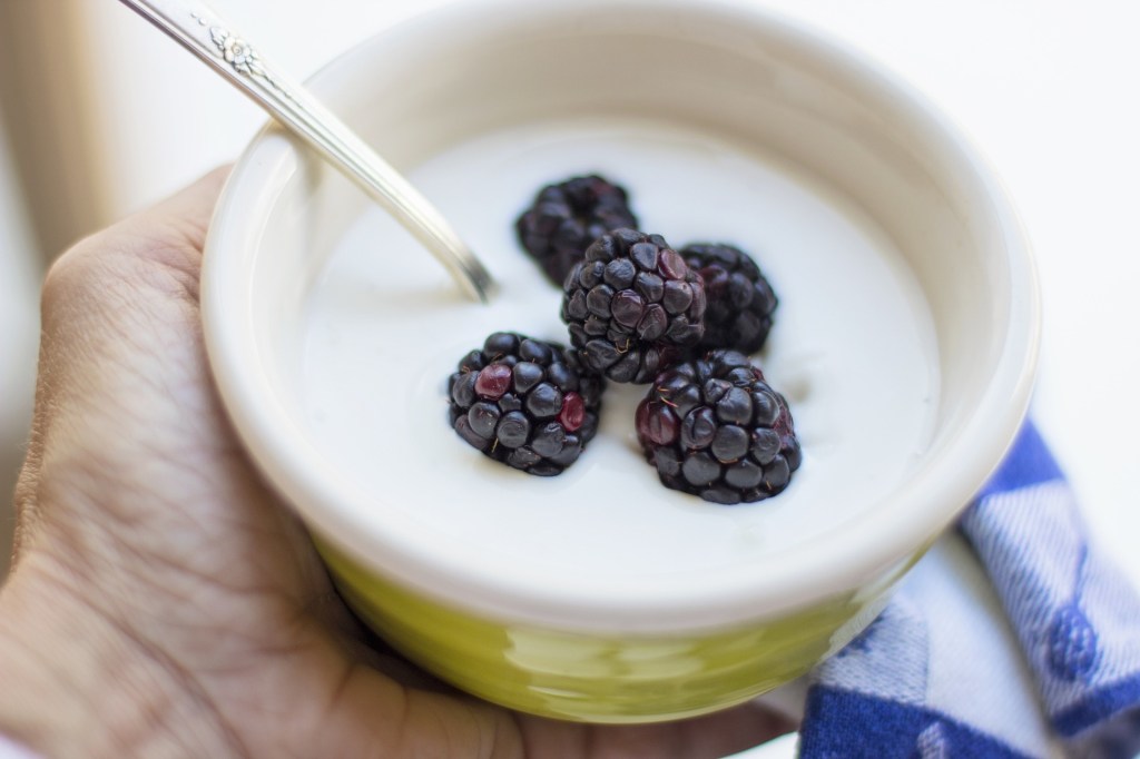 Are Low-Fat and Fat-Free Yogurts Healthy? – My Wellbeing Journal